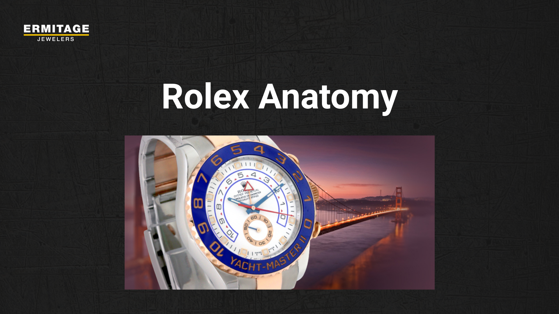 Rolex Anatomy - Chronicles | Ermitage Jewelers